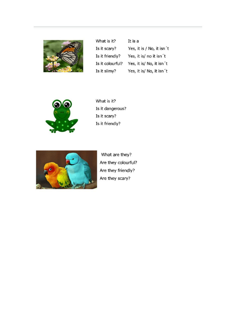 Unit 1 Open Up | PDF