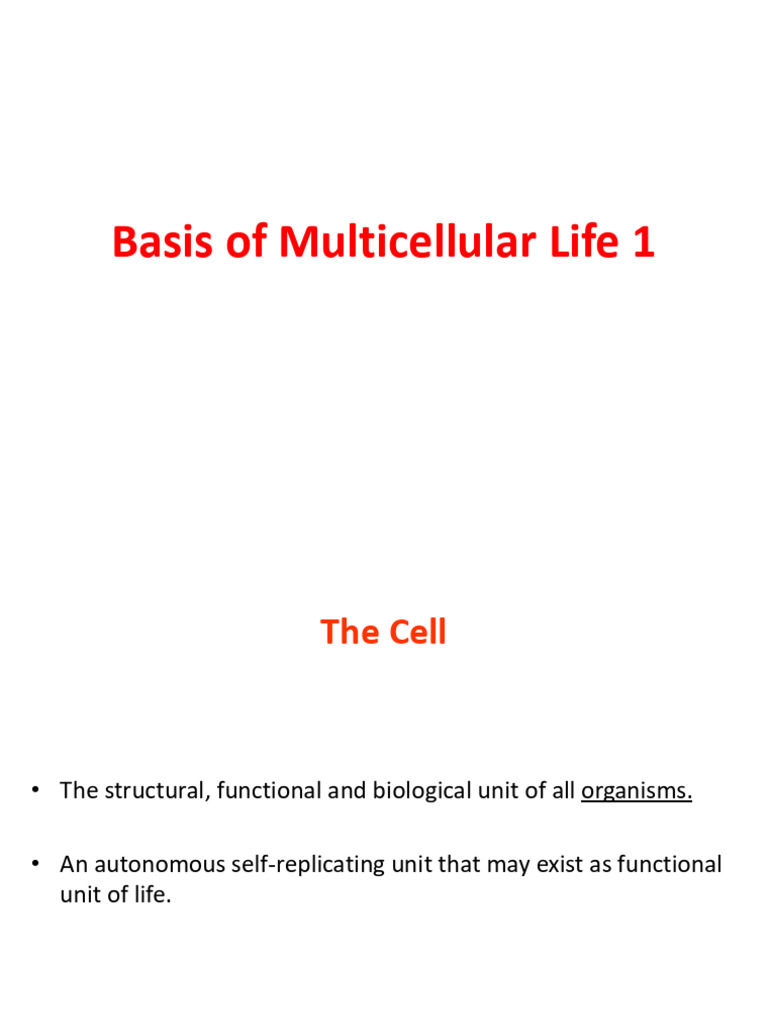 Tıp Basis of Multicellular Life 1-2 2025 | PDF | Endoplasmic Reticulum ...