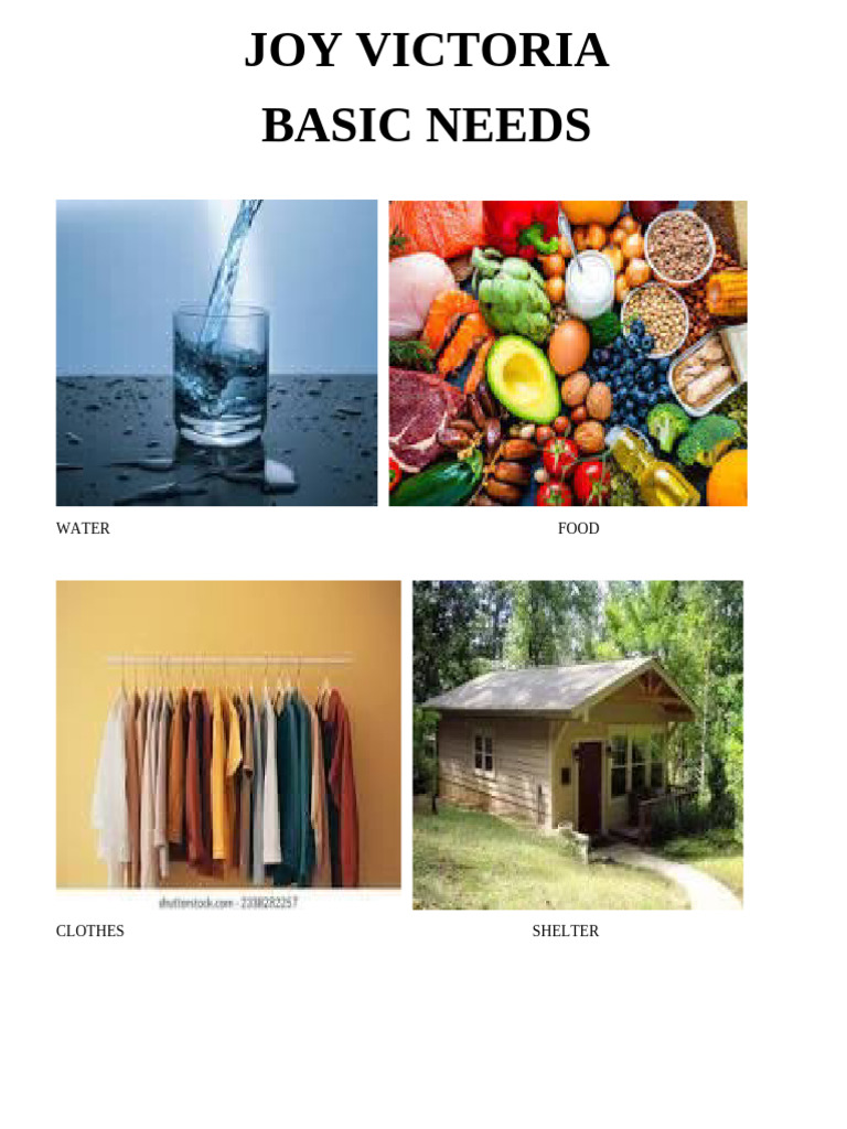 Basic Needs | PDF