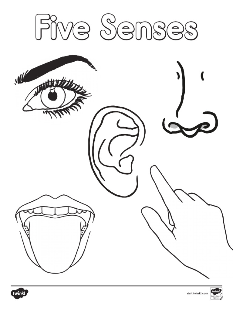 Five Senses Coloring Sheet Us S 1681321199 Ver 1 | PDF
