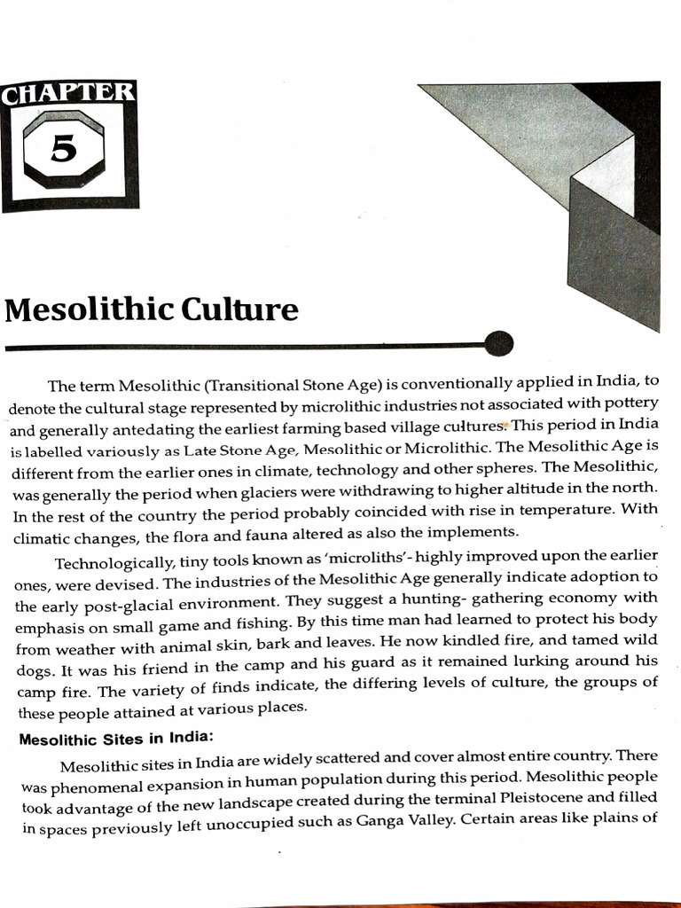 Mesolithic Culture | PDF