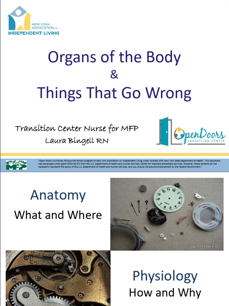 Organs and Things That Go Wrong 3-26-19 | PDF | Heart | Pancreas