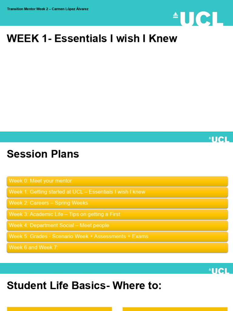 Session 2 Transition Mentor | PDF