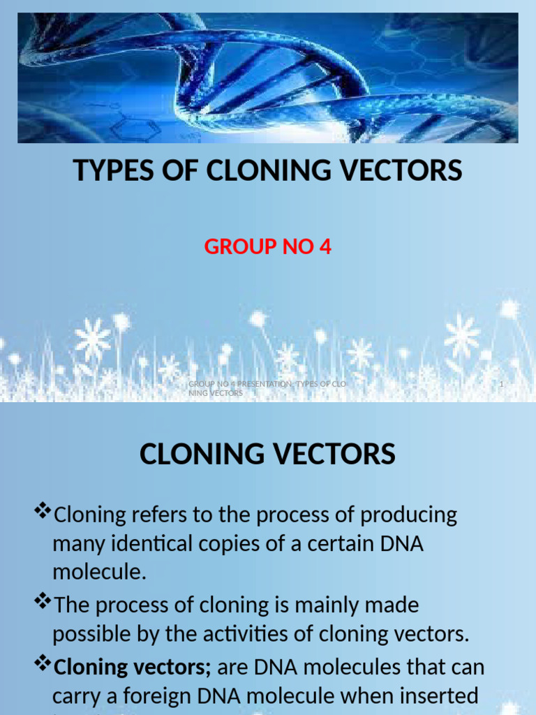 Types of Cloning Vectors | PDF | Vector (Molecular Biology) | Plasmid