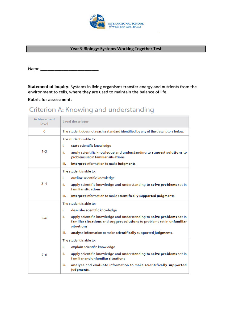 Year 9 Biology Body Systems 1 Test | PDF | Antibody | Neuron