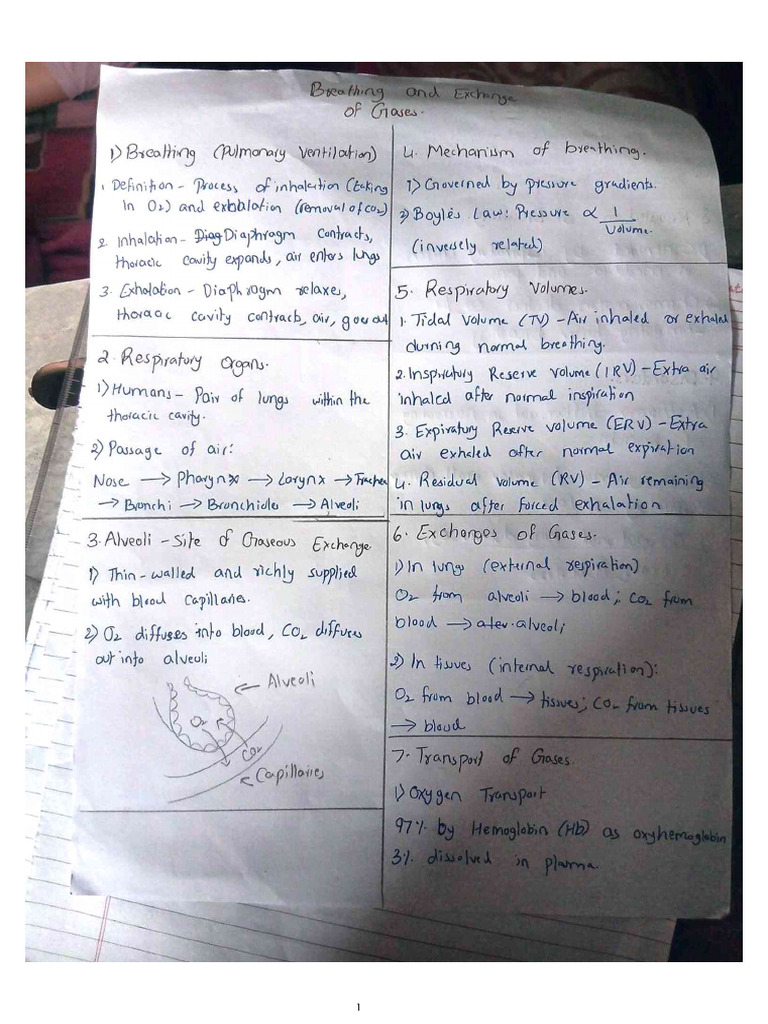Breathing Short Notes Class 11 | PDF