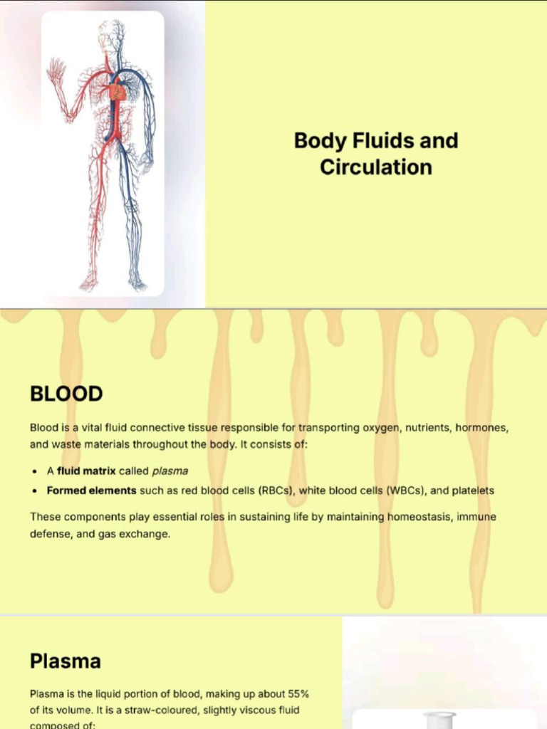 Body Fluids and Circulation | PDF