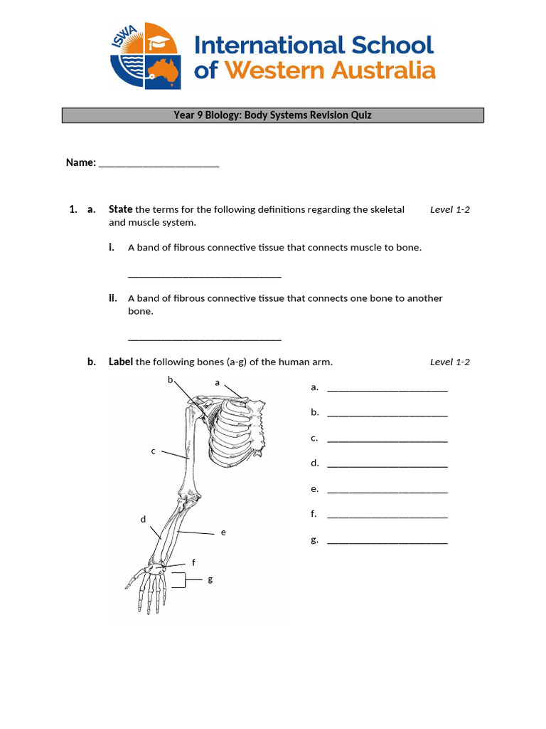 Year 9 Biology Body Systems Quiz | PDF | Muscle | Tissue (Biology)