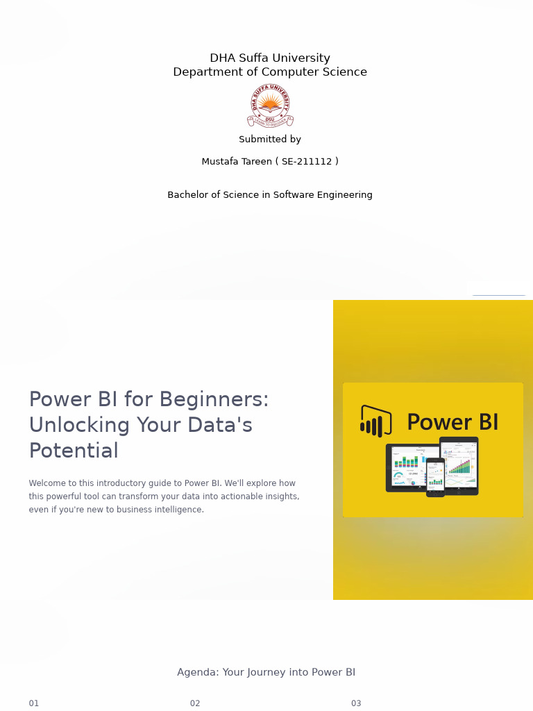 Power BI Presentation | PDF | Information Technology Management | Data ...
