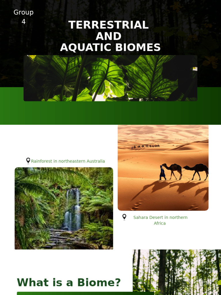 G4 TerrestrialAquatic Biomes | PDF | Oceans | Benthic Zone