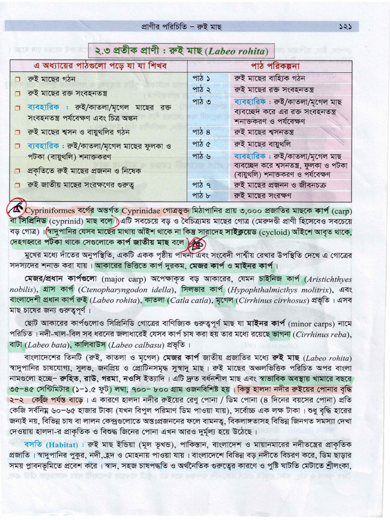 Zoology 2nd-Chapter Rui | PDF