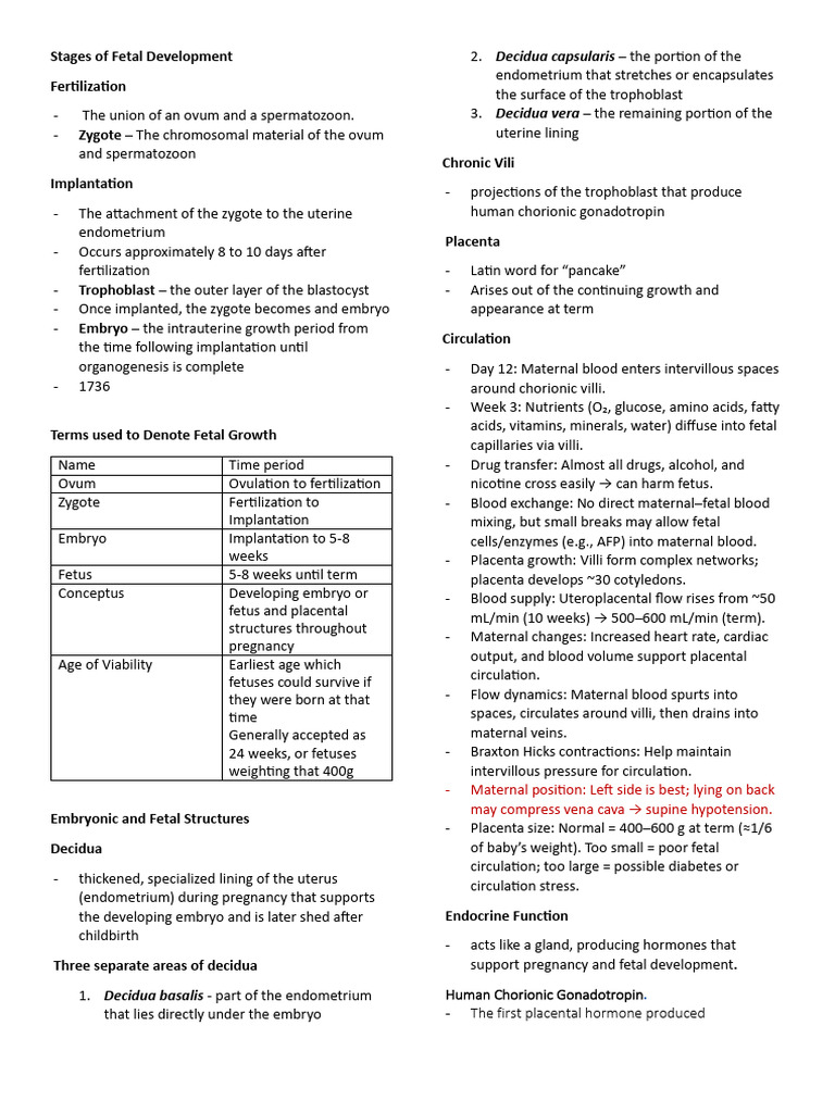 Stages of Fetal Development | PDF | Placenta | Fetus