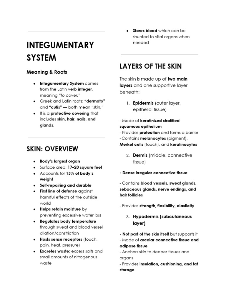 Integumentary and Skeletal System | PDF | Bone | Integumentary System