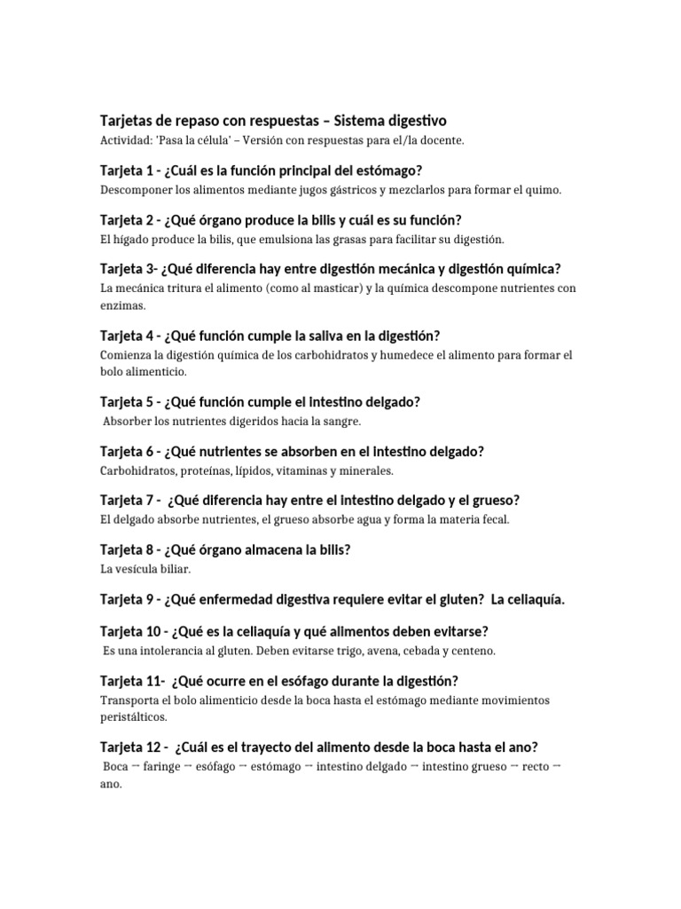 Tarjetas de repaso: Sistema digestivo | PDF | Digestión | Sistema ...