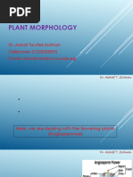 Function and Role of Plumule in Seeds | PDF | Seedling | Biology