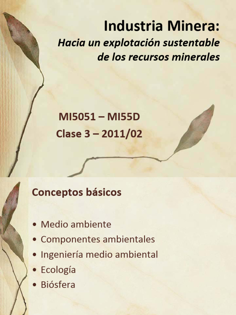 Hacia Un Explotación Sustentable de Los Recursos Minerales | PDF ...