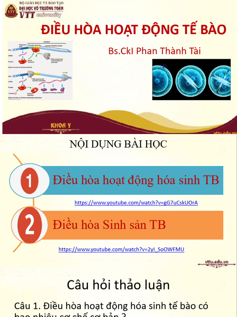 Dieu Hoa Hoat Động Tế Bào | PDF