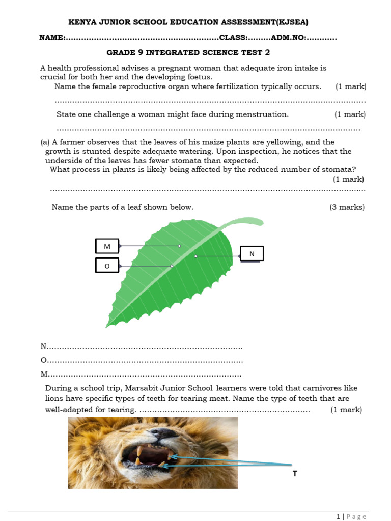 Integrated Science Test 2 | PDF
