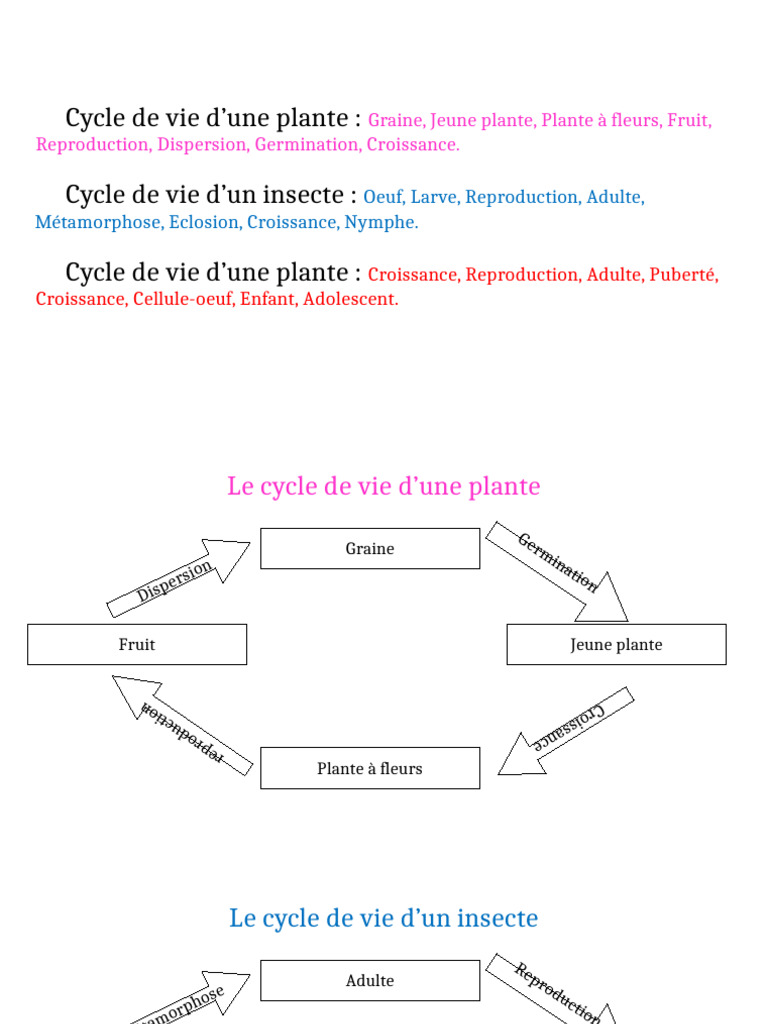 Cycles de vie : Plantes, Insectes, Humains | PDF | Botanique | la ...