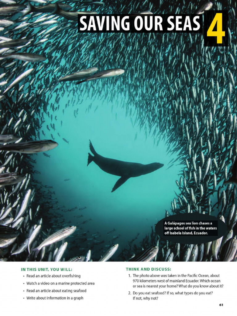 Saving Our Seas | PDF