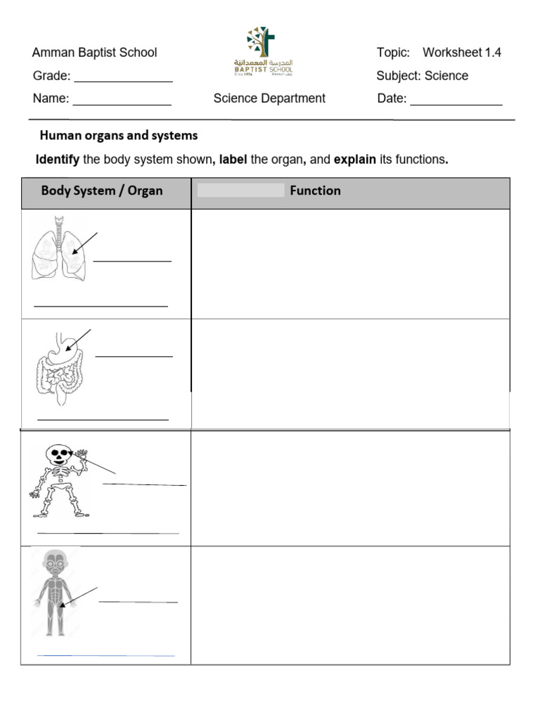 1.4 Organs and Organ Systems | PDF