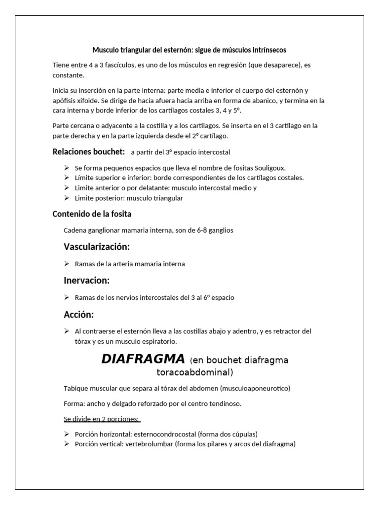 Musculo Triangular Del Esternon y Diafragma | PDF | Tórax | Sistema ...