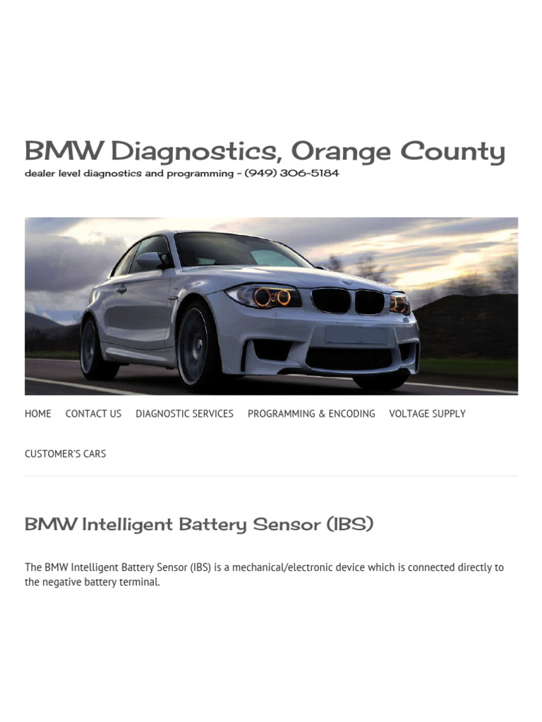 BMW IBS Diagnostics and Fault Codes | PDF | Electricity | Manufactured ...