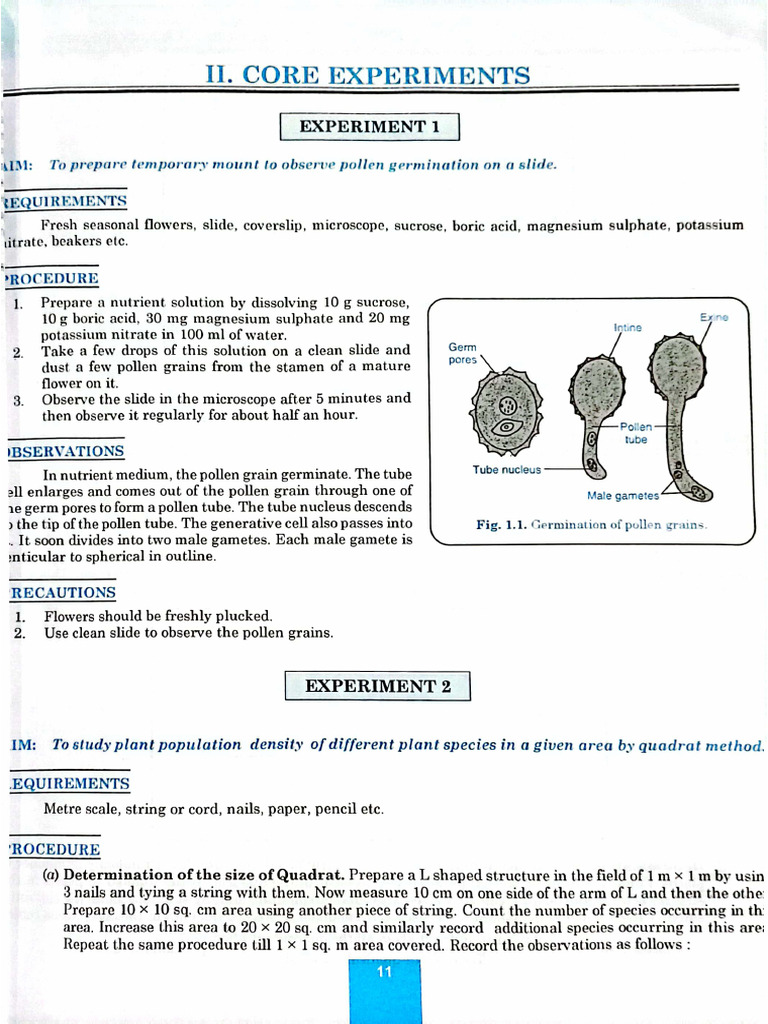 Bio Journal Diagrams | PDF