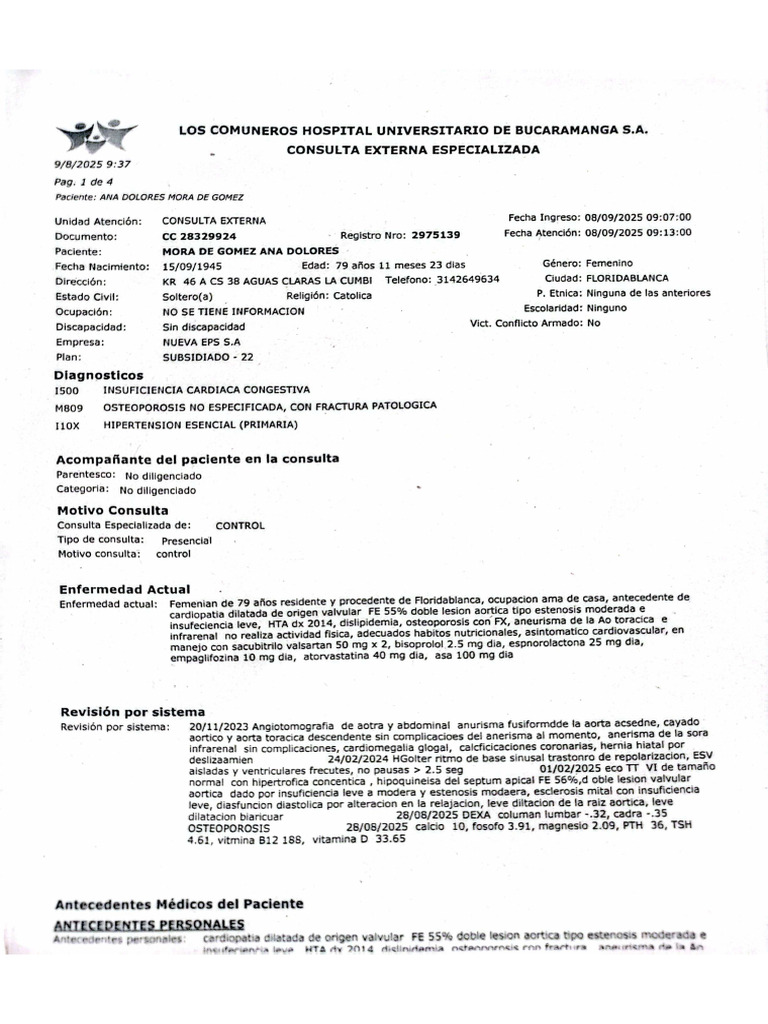 Documento Ana Dolores Mora | PDF