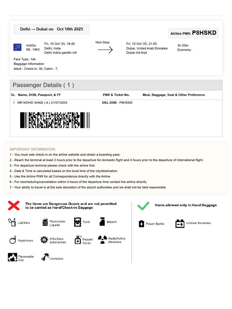 IndiGo Flight PNR Details: Delhi to Dubai | PDF