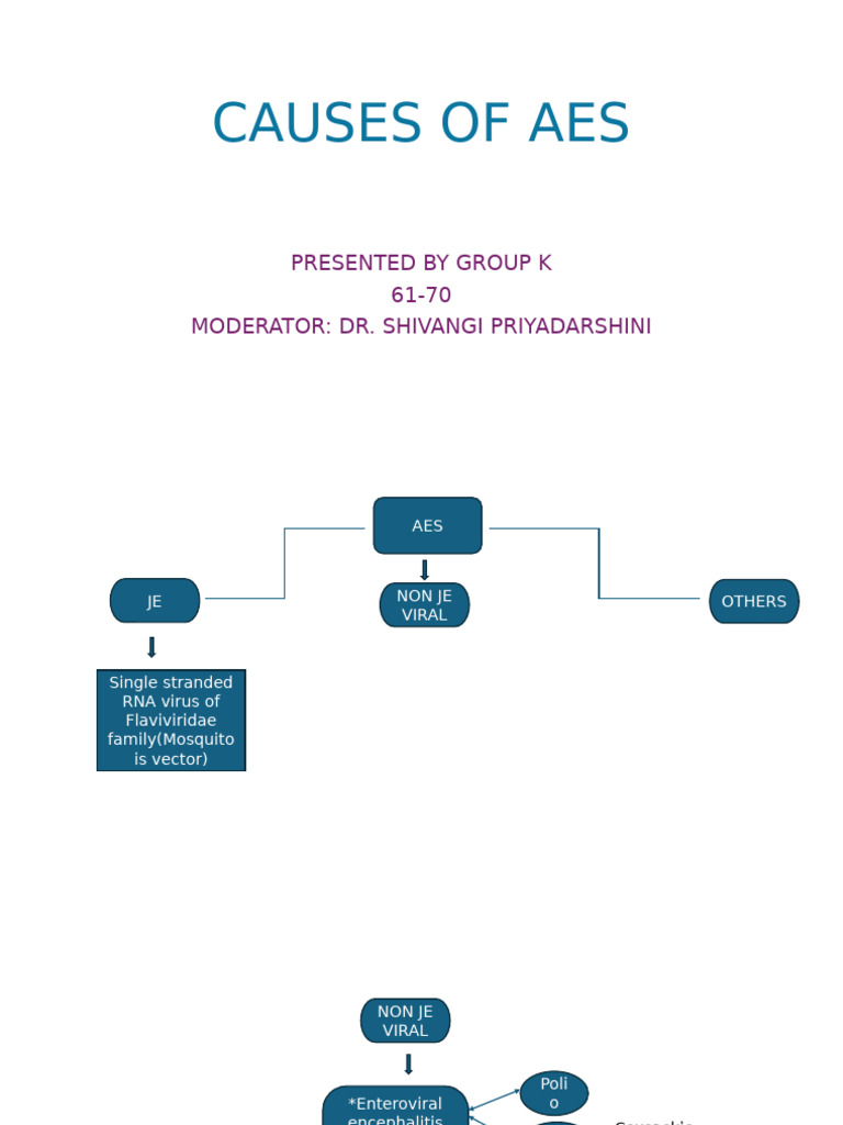 Presentation AES 1 | PDF