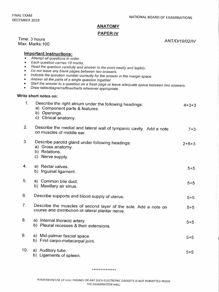 Anatomy Paper Iii - 4 | PDF
