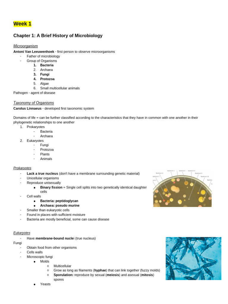 Medical Microbiology LECTURE | PDF | Virus | Microorganism