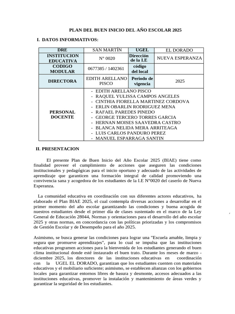 Plan BIAE 2025 para I.E. N° 0020 | PDF | Educación primaria | Escuelas