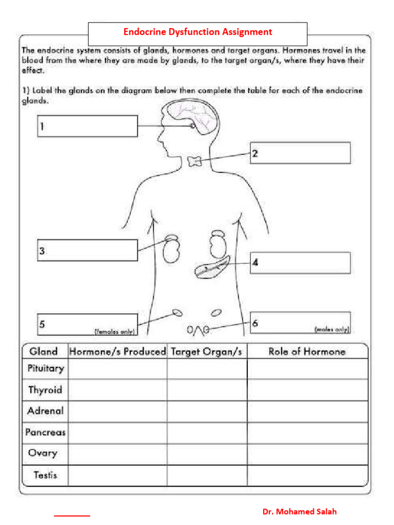 Endocrine Dysfunction Assignment | PDF