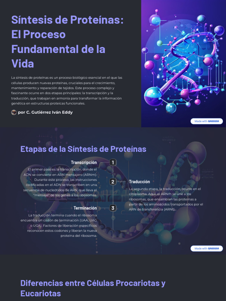 Síntesis de Proteínas: Proceso Vital | PDF | Traducción (biología ...