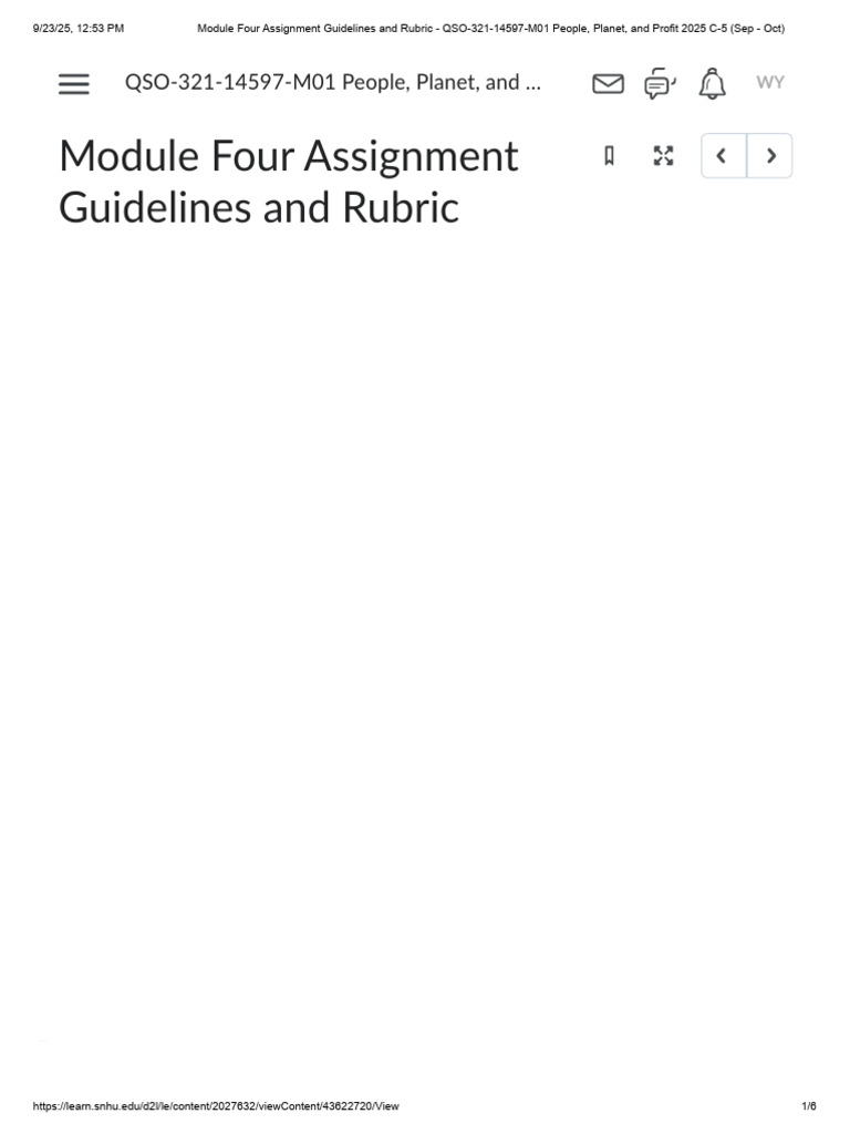 Module Four Assignment Guidelines and Rubric - QSO-321-14597-M01 People Planet and Profit 2025 C ...