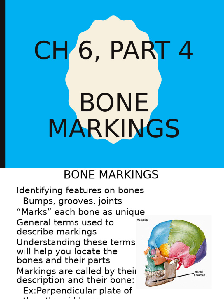 Understanding Bone Markings and Types | PDF | Skeletal System ...