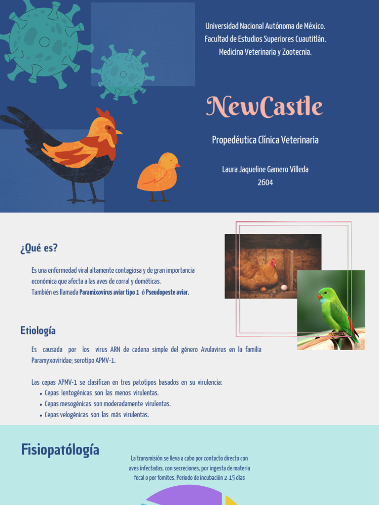 Enfermedad de Newcastle en Aves: Guía Completa | PDF | Virus | Diarrea