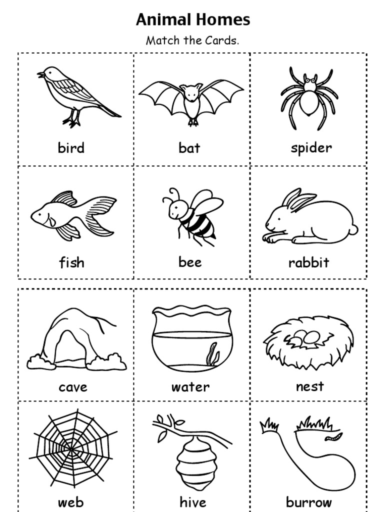 Animal Homes Matching Game | PDF | Organisms | Nature