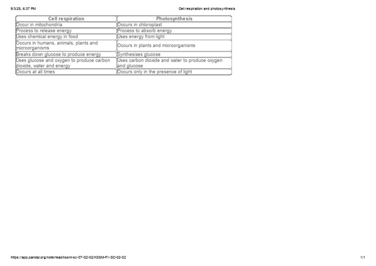 Cell Respiration and Photosynthesis | PDF