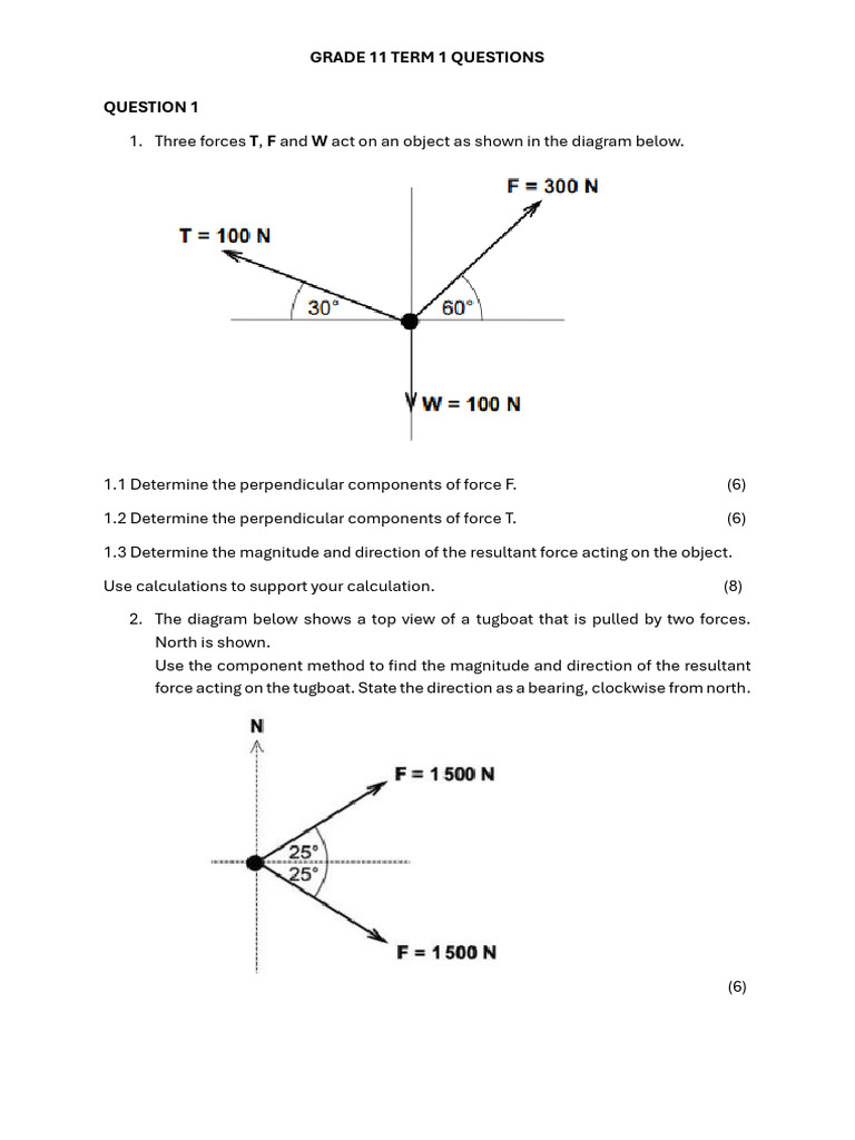 Grade 11 Physics Term 1 Questions | PDF
