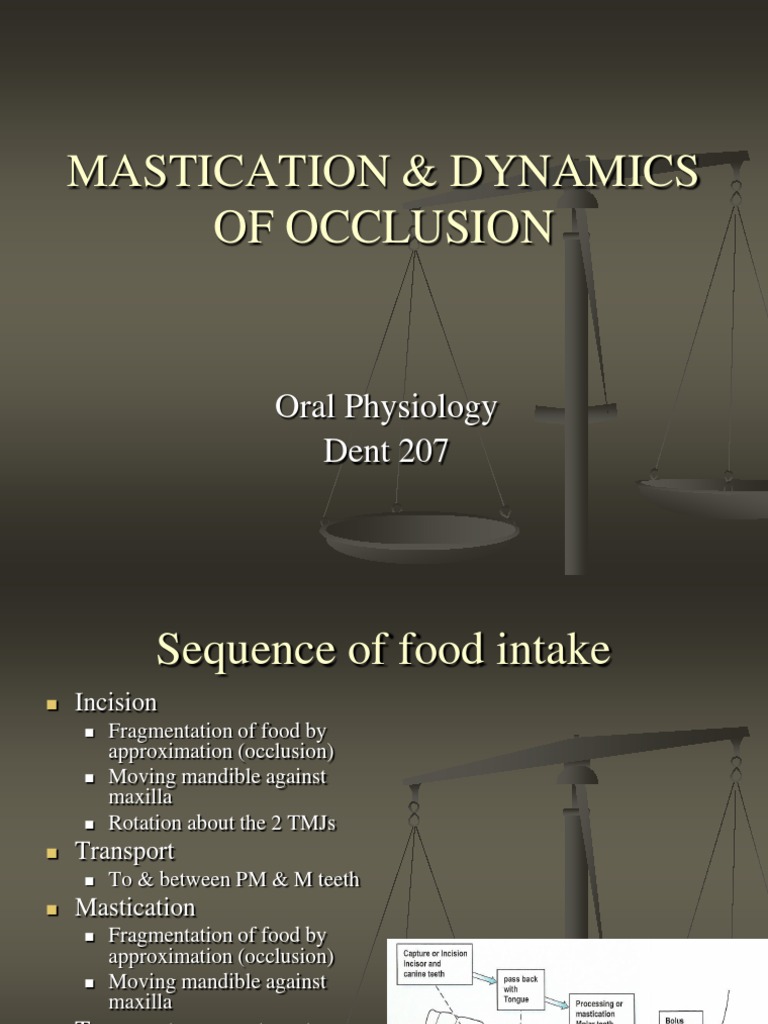 Oral Physio Slides - 5.mastication Dynamics of Occlusion | PDF | Tongue ...