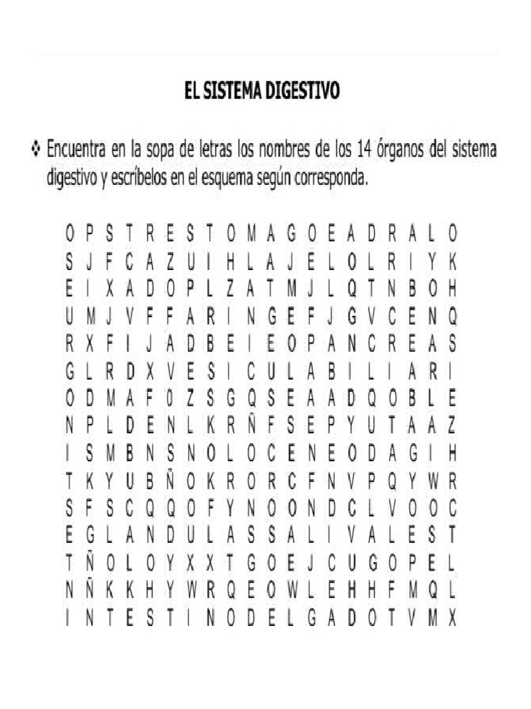 Tarea Del Sistema Digestivo | PDF