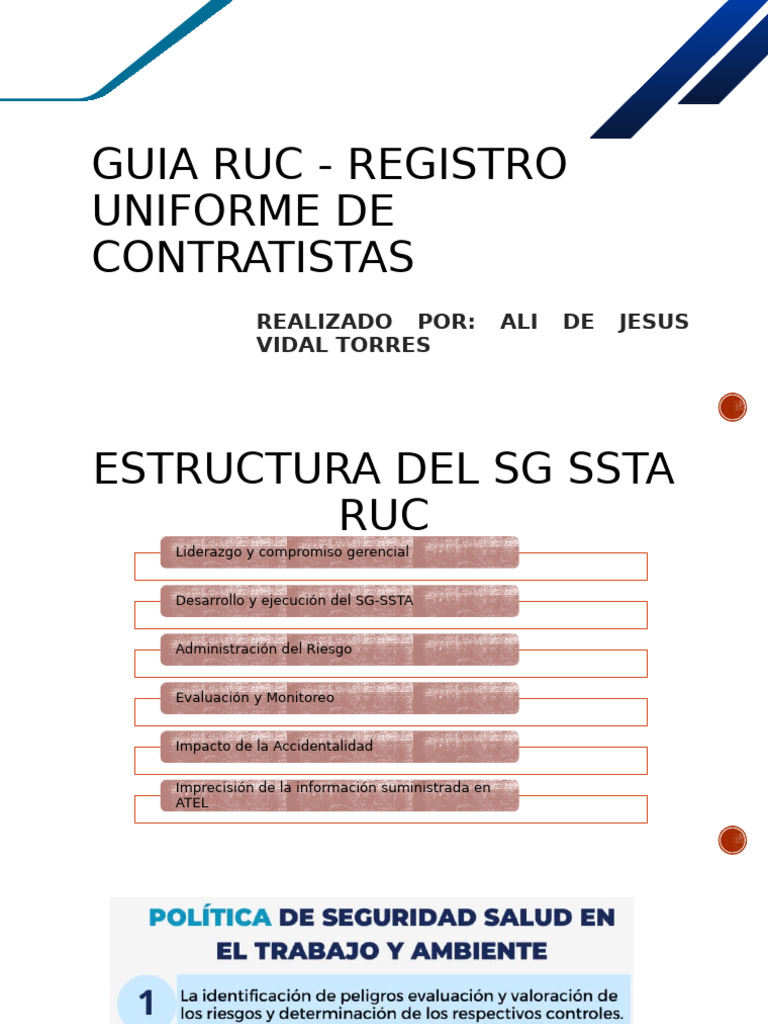 Presentacion RUC | PDF
