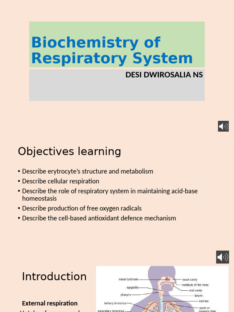 Biochemistry of Respiration System - For Student 2 | PDF | Diet ...