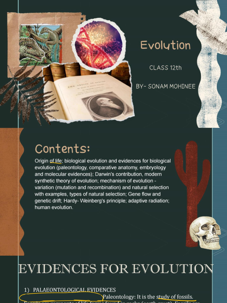 Evolution Lecture 2 | PDF