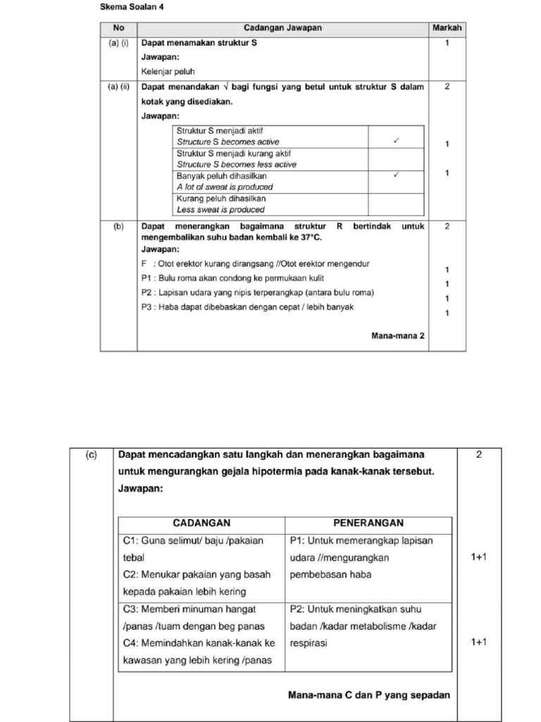 Jawapan Bio t4 Bab 13 | PDF