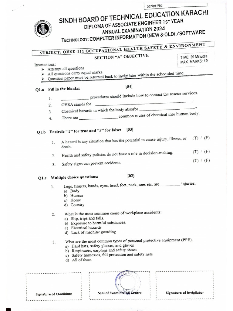 OHS Paper 2024 | PDF