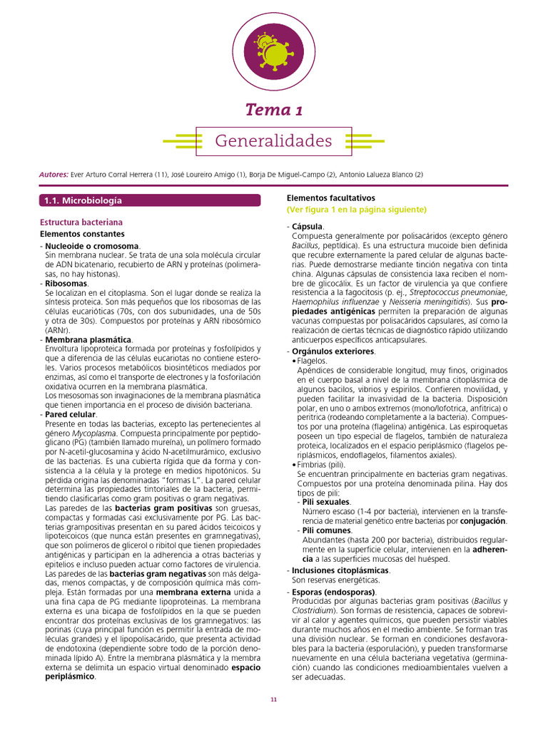 Bacterio Log I A | PDF | Las bacterias | Bacterias Gram-negativo